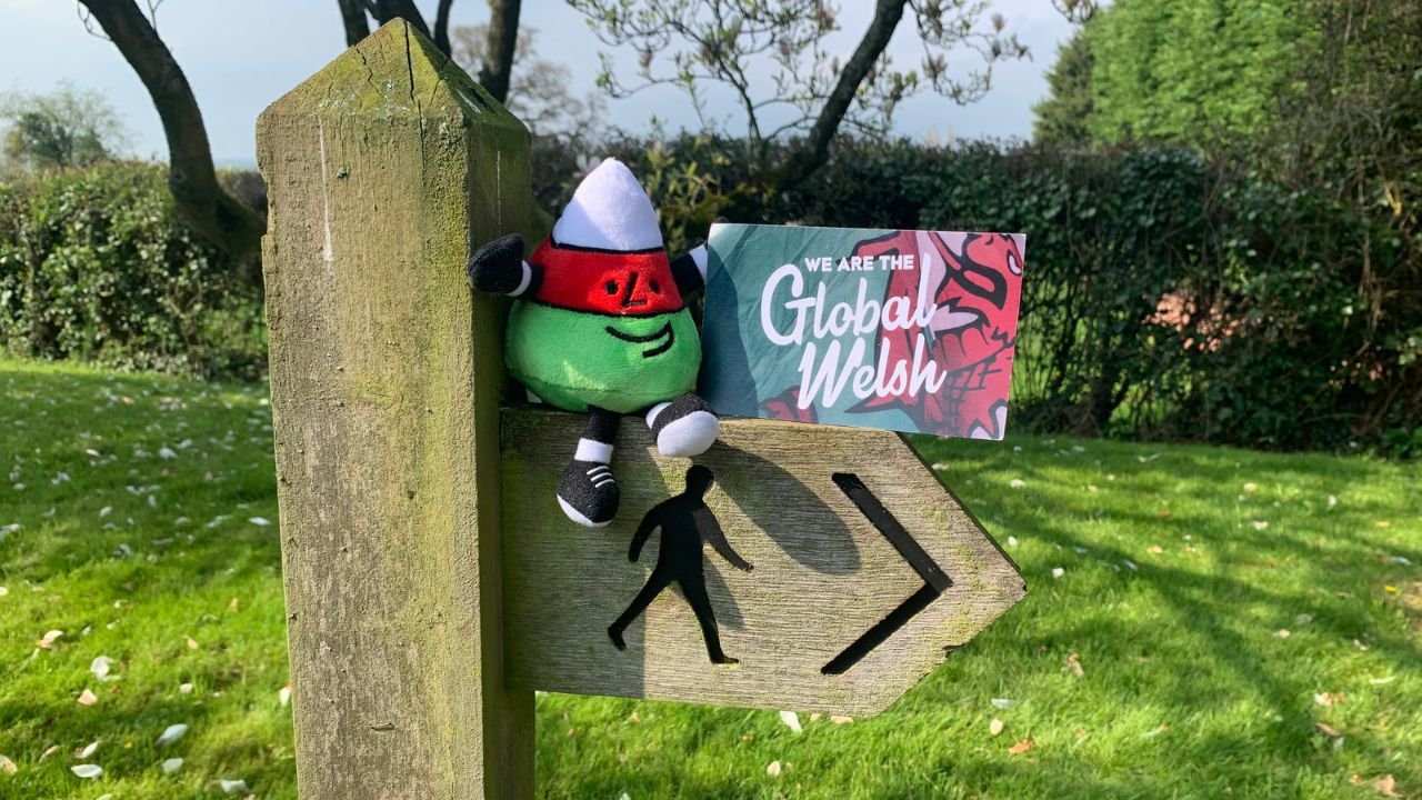 Globalwelsh Launches Fundraiser For Urdd Gobaith Cymru Globalwelsh